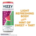 Vizzy Watermelon Hard Seltzer, Variety Pack, 12 Pack, 12 fl oz Aluminum ...