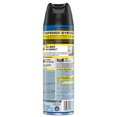 Raid Flying Insect Killer 7, Insecticide Spray for Wasps, Mosquitos ...