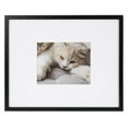 DesignOvation Gallery 16" X 20" Matted to 8" x 10" Black Picture Frame ...
