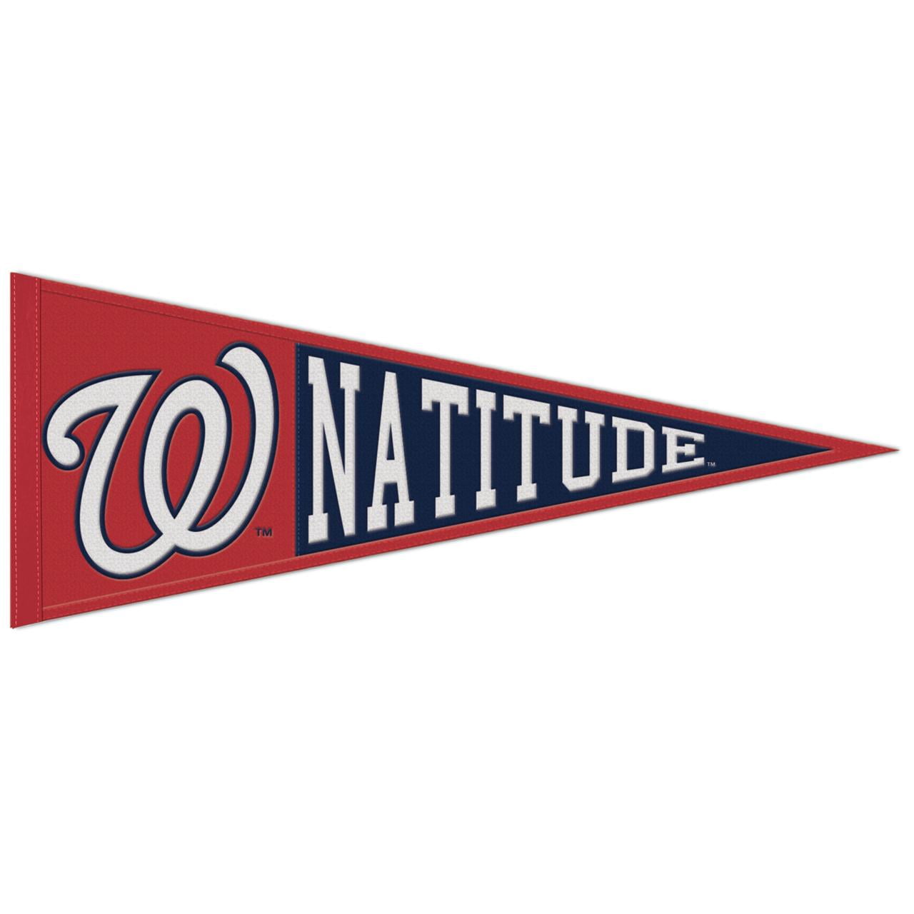 WinCraft Washington Nationals 13" x 32" Slogan Pennant - Walmart.com