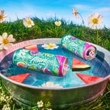 Free Shipping! Alani Nu Watermelon Wave Energy Drink 12 fl oz Can Pack ...