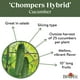 Burpee Chompers Hybrid Cucumber Vegetable Seed, 1-Pack - Walmart.com