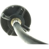 Gates 31416 Radiator Cap - Walmart.com