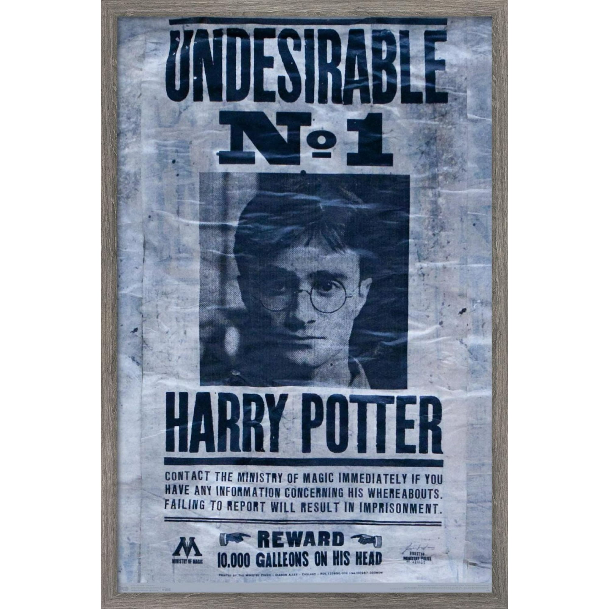 Click here for Trends International The Wizarding World: Harry Po... prices