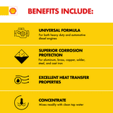 Shellzone Antifreeze and Engine Coolant, Concentrate, 1 Gallon ...