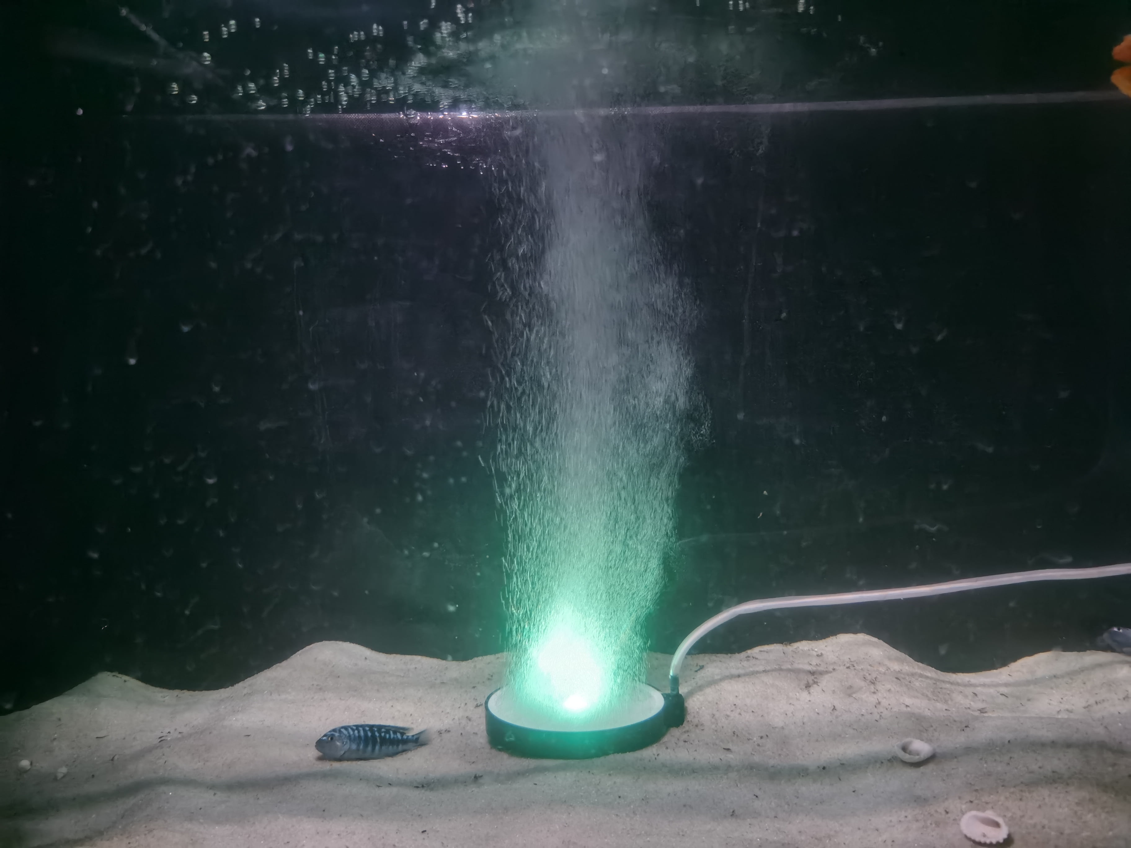 Carefree Fish Aquarium Air Stone Fish Tank Nano Bubble Pump Accessories ...