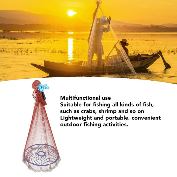 Multi Color Guessing Game,Guessing Board Game Cardboard Guessing Game ...