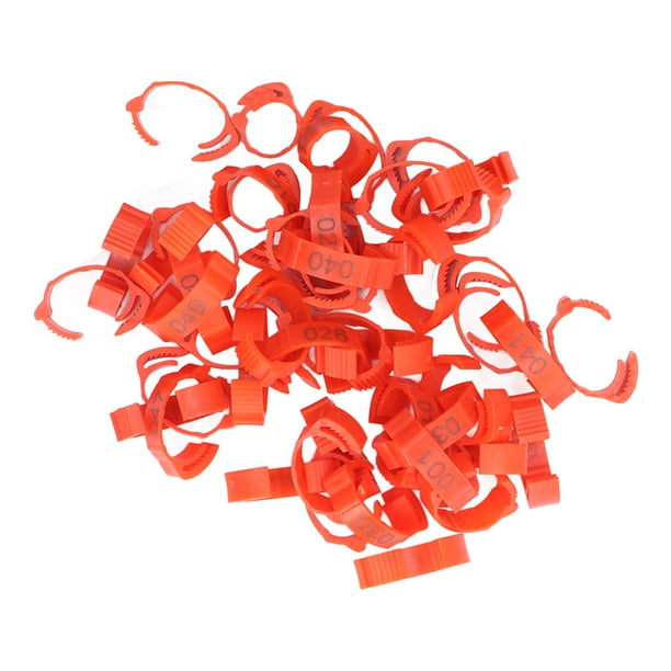 Birds Identification Leg Bands, Orange Plastic Reusable Chicken Leg ...