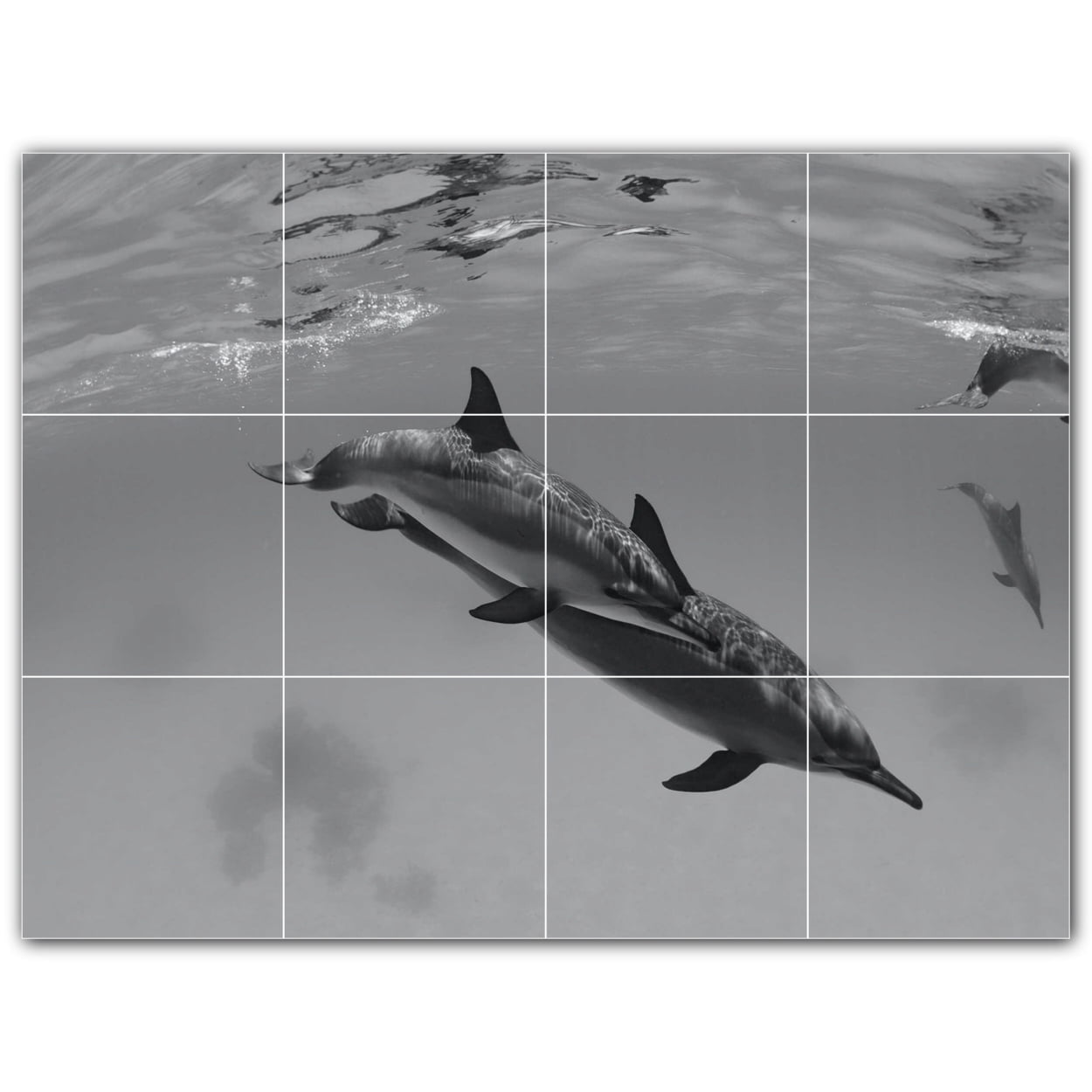 Picture-Tiles.com: Dolphin Ceramic Tile Wall Mural WAL500507-43M. 24"W ...