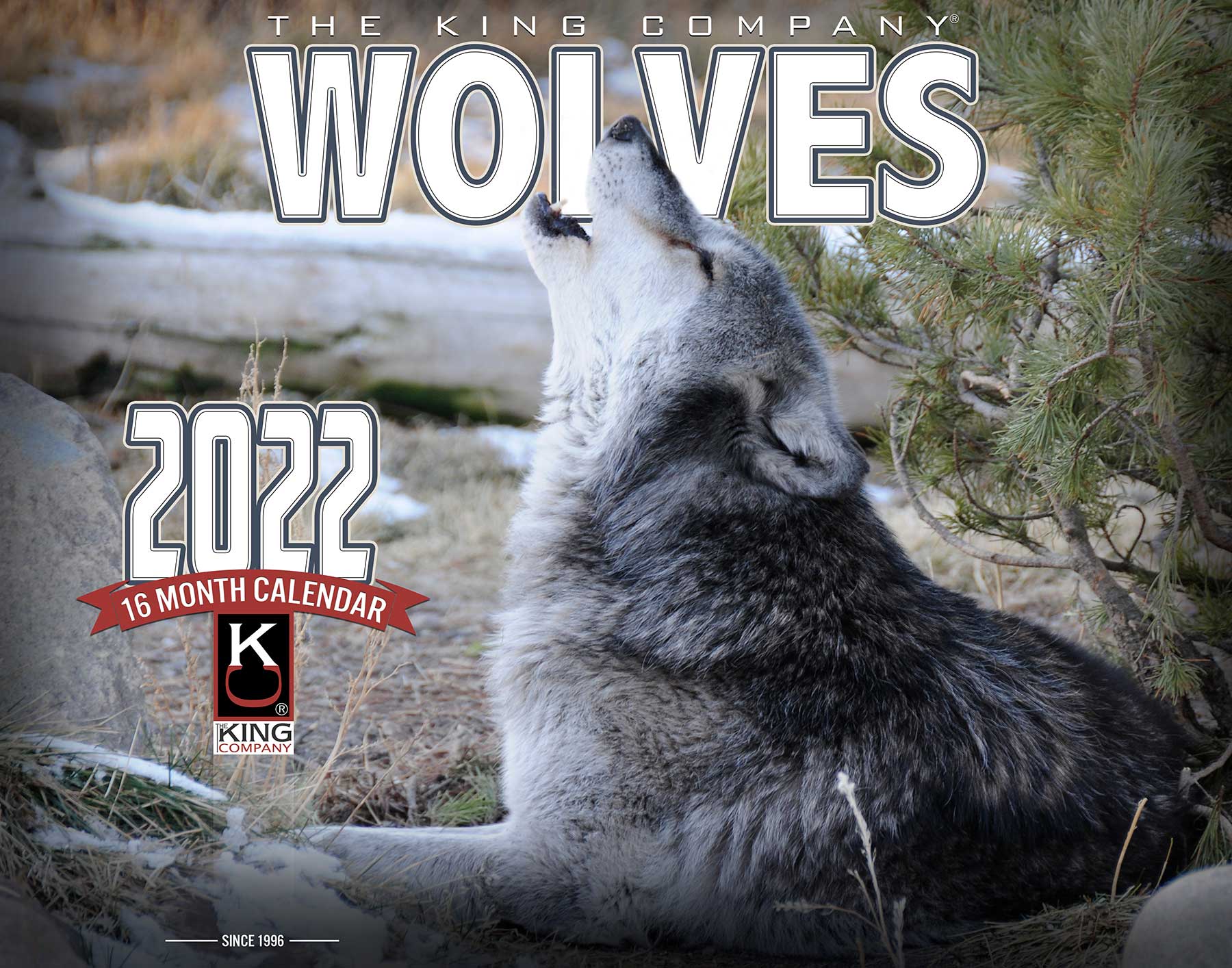 Calendars & Planners Wolves Daily Desktop Spirit of the Wolf 2022 Box ...