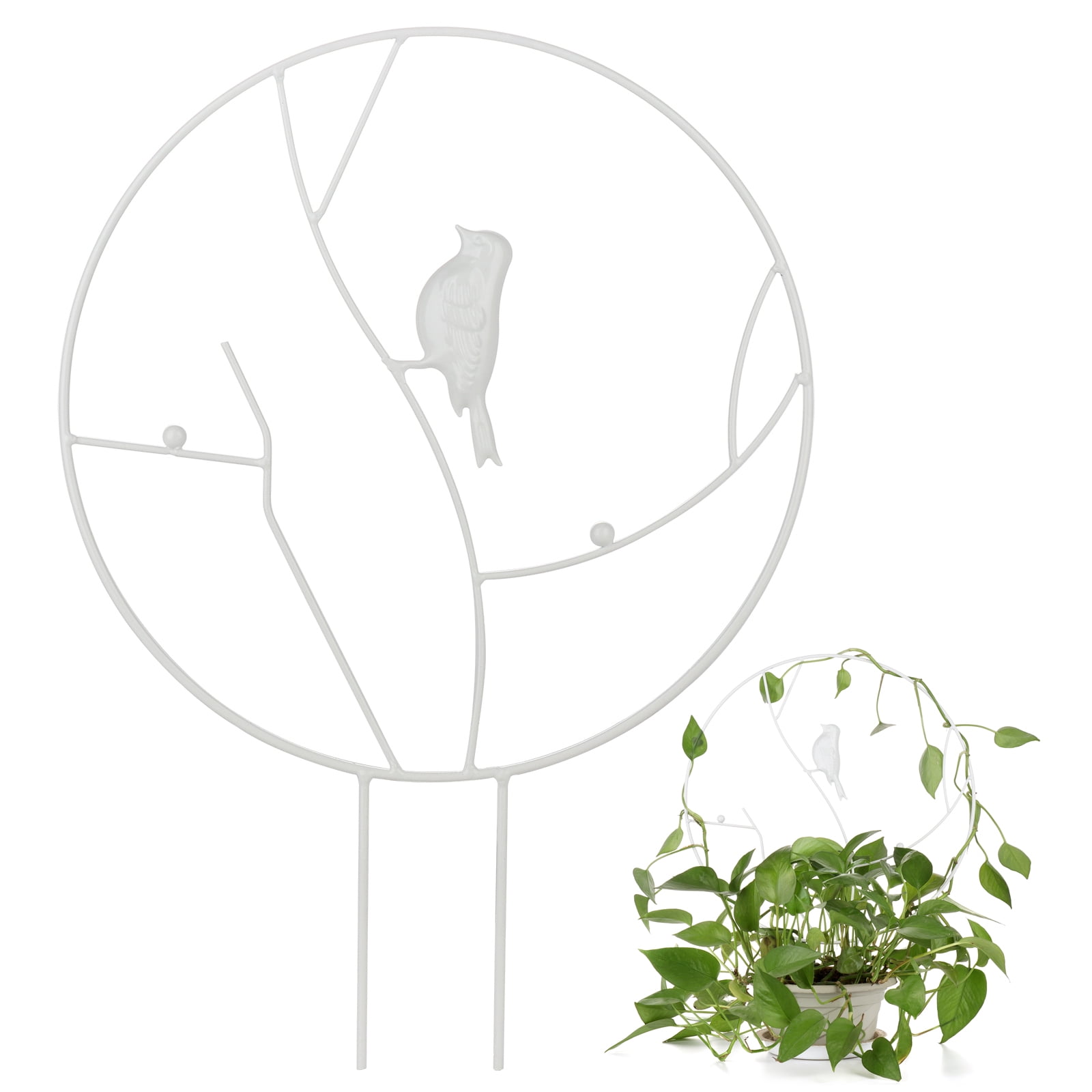 GadgetVLot Metal Plant Stand Climbing Frame Support Garden Flower Pot ...