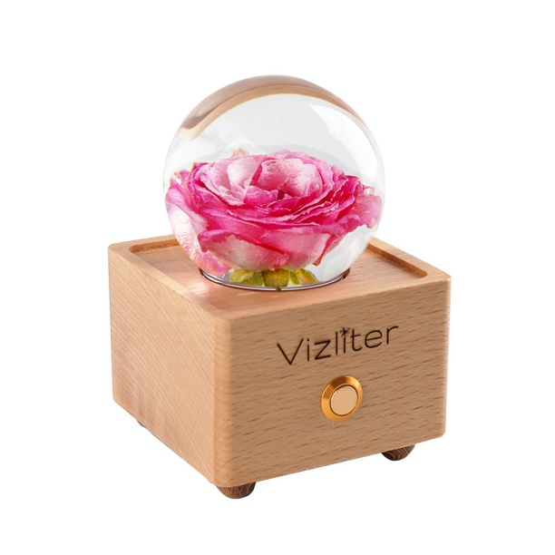 Vizliter Bluetooth Speaker Crystal Ball LED Lighting Preserved Fresh ...