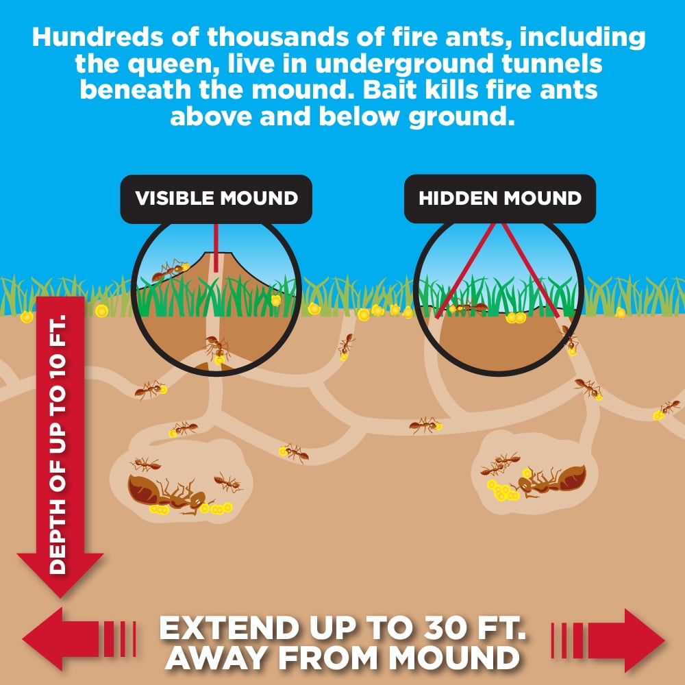 Fire Ant Mound Diagram