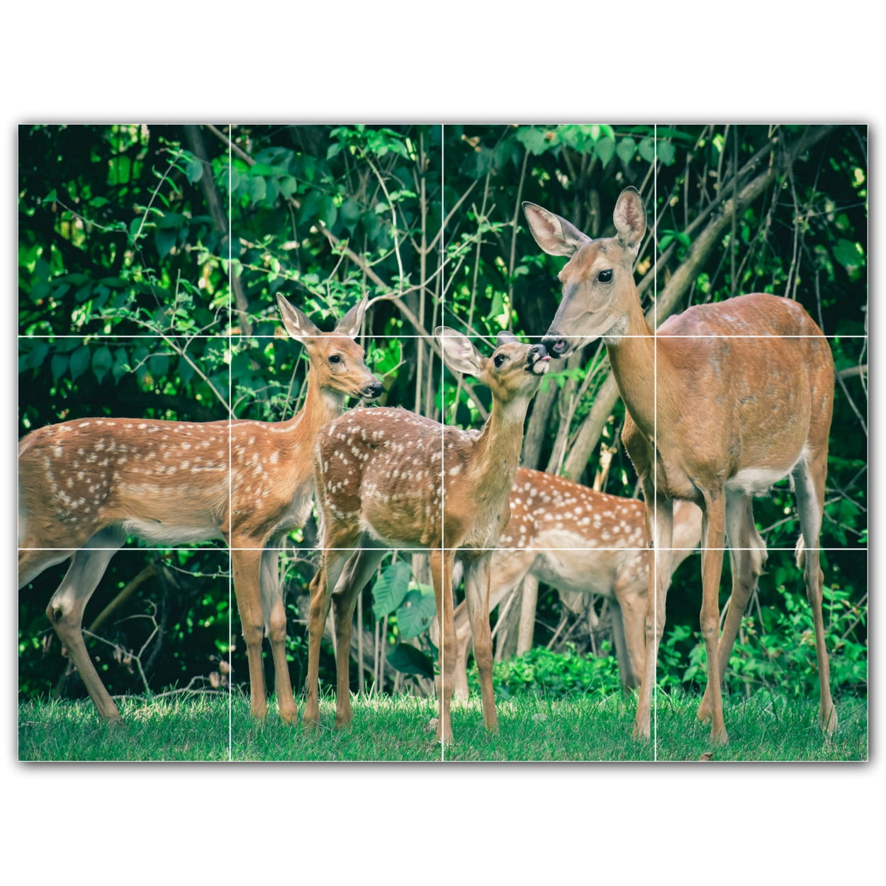 Picture-Tiles.com: Deer Ceramic Tile Wall Mural WAL500446-43M. 24"W x ...