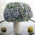 Hydrangeas Jumbo 12 Stems of Green and Hulk Farm Direct Fresh Cut ...