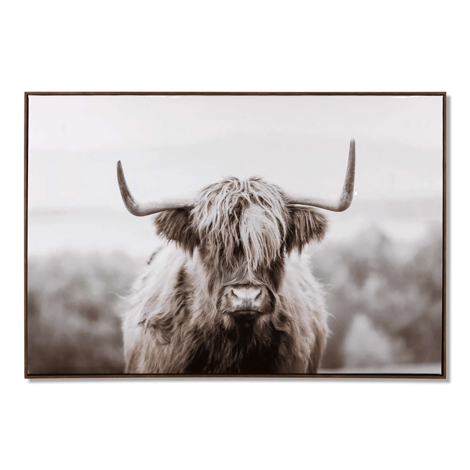 Click here for Bouclair Sepia Furry Highland Cow Framed Art 46 X... prices