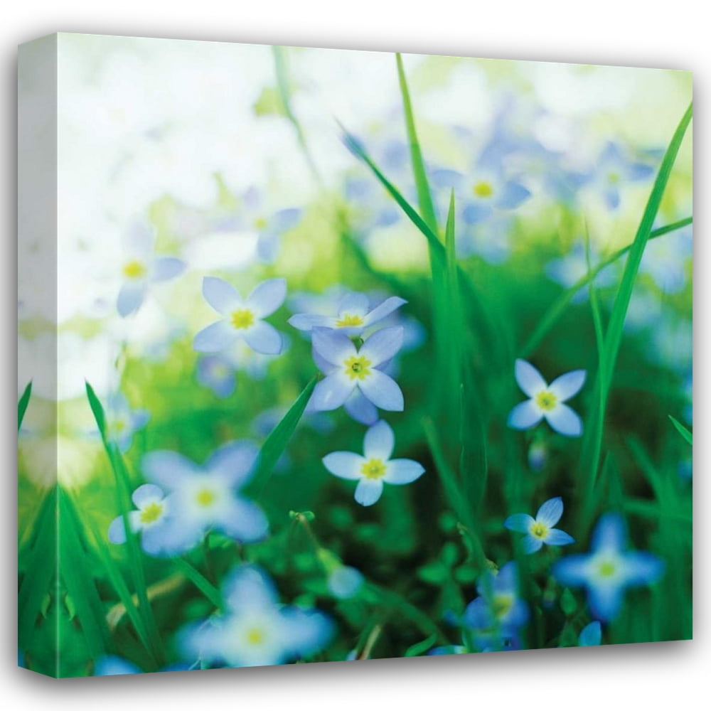 Bob Stefko 15x15 Gallery Wrapped Canvas Wall Art Titled - Blooms in ...