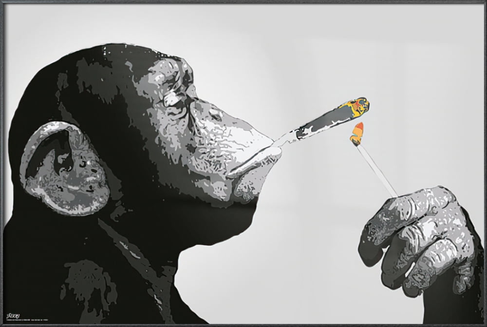 Monkeys Smoking Weed