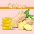 SweetGourmet Pure Real Spice All Natural Ginger Drops Hard Candy | 1 ...