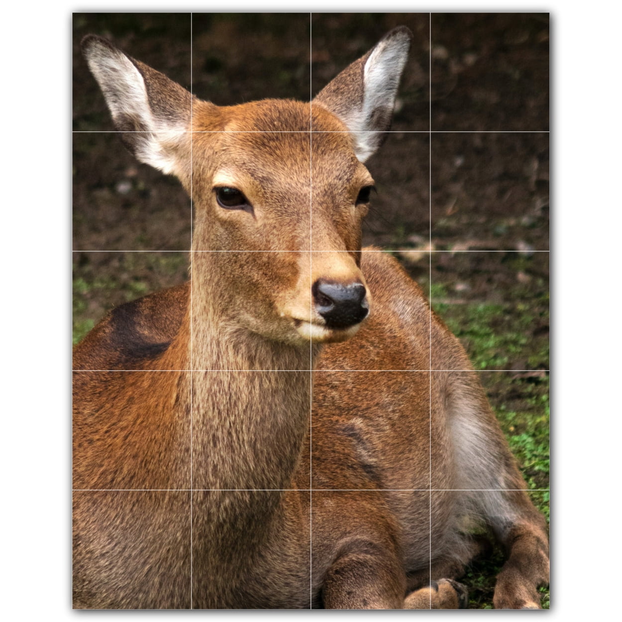 Picture-Tiles.com: Deer Ceramic Tile Wall Mural WAL500469-45XL. 48"W x ...