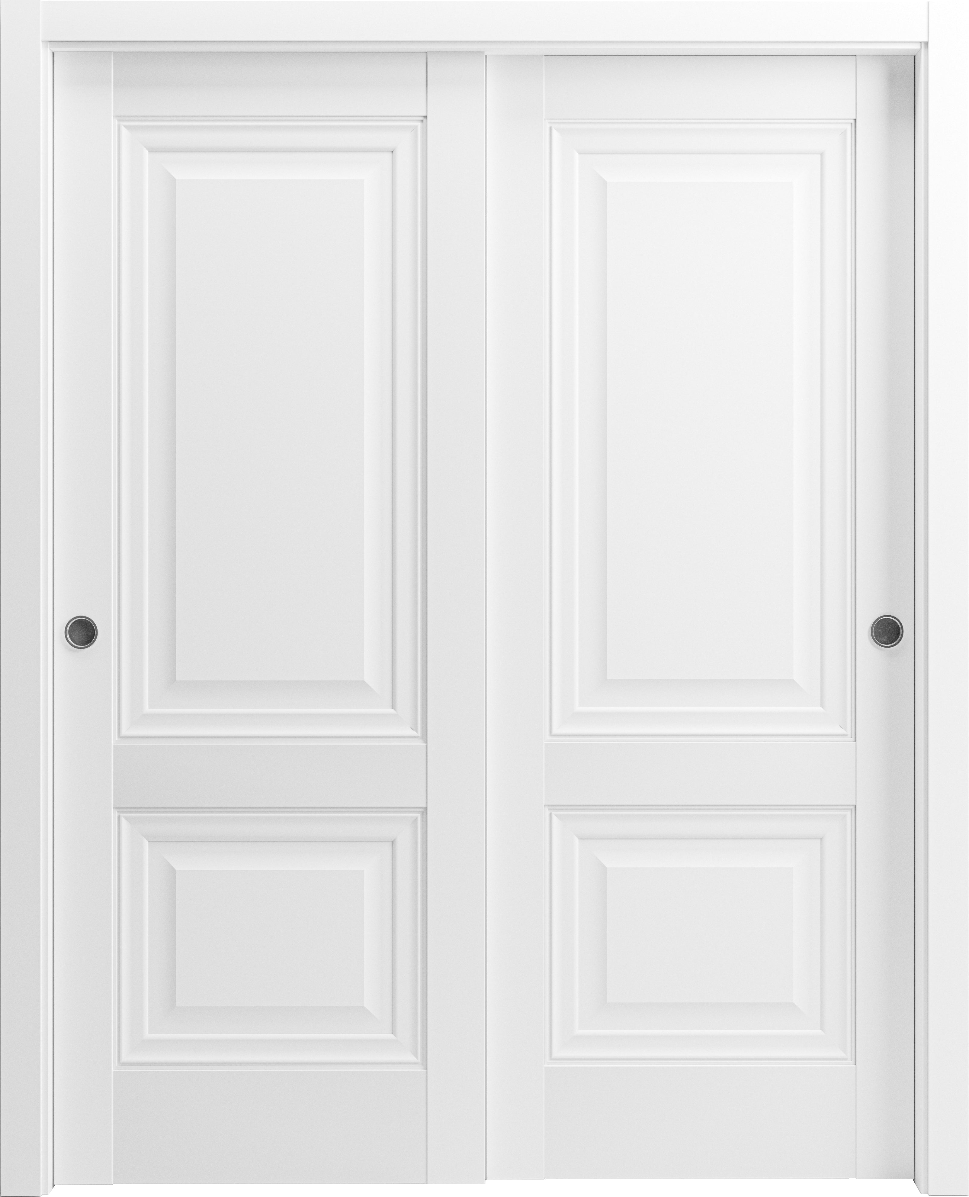 Sturdy Barn Door 28 x 96 inches | Sete 6933 Light Grey Oak with Frosted ...