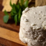 Cultures For Health Chevre Starter Culture, DIY Goat Cheese - Walmart.com