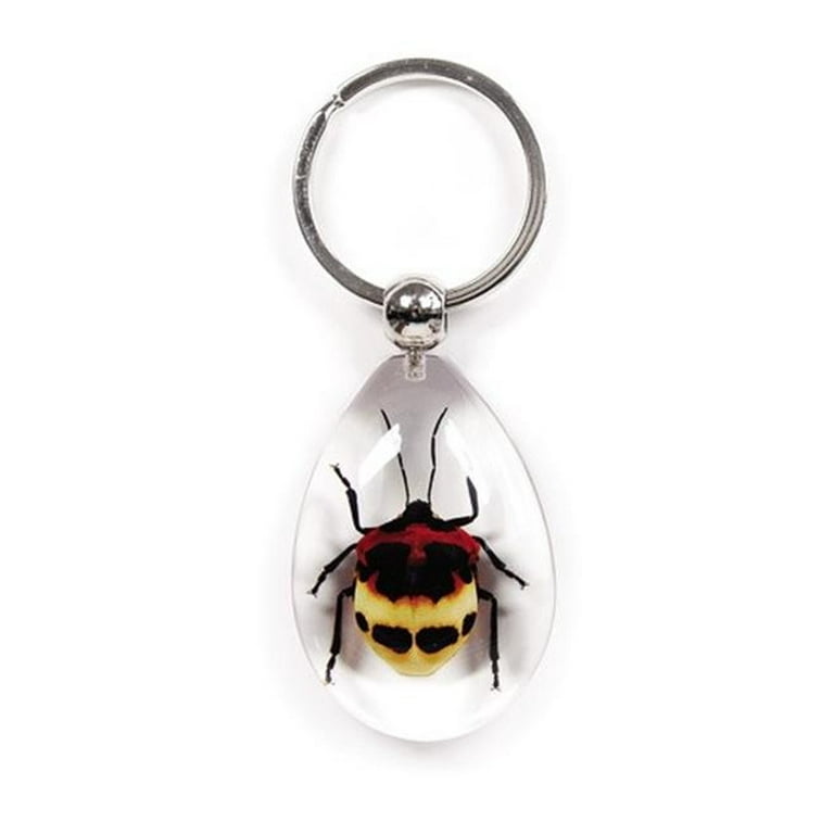 Bug Key Chains