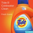 Tide Coldwater Clean Fresh HE Turbo Clean Liquid Laundry Detergent, 92 ...
