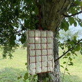 Songbird Essentials Wild Birdhouse, Large Hummer Helper with Cotton ...