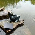 Solar Fish Pond Spitter, Resin Outdoor Fountain for Garden 6.89x6.3x5 ...