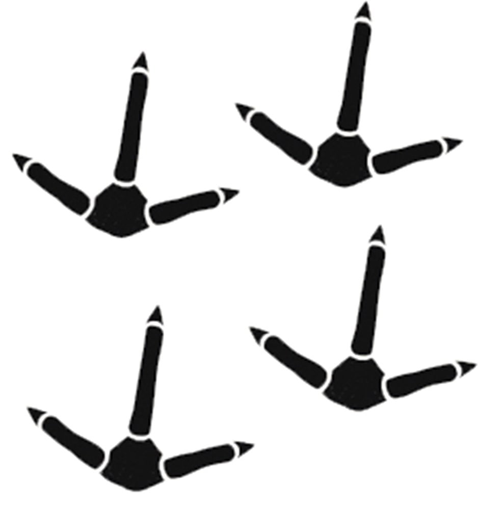 Western Recreation Vista Turkey Tracks Decal 6X5 - Walmart.com