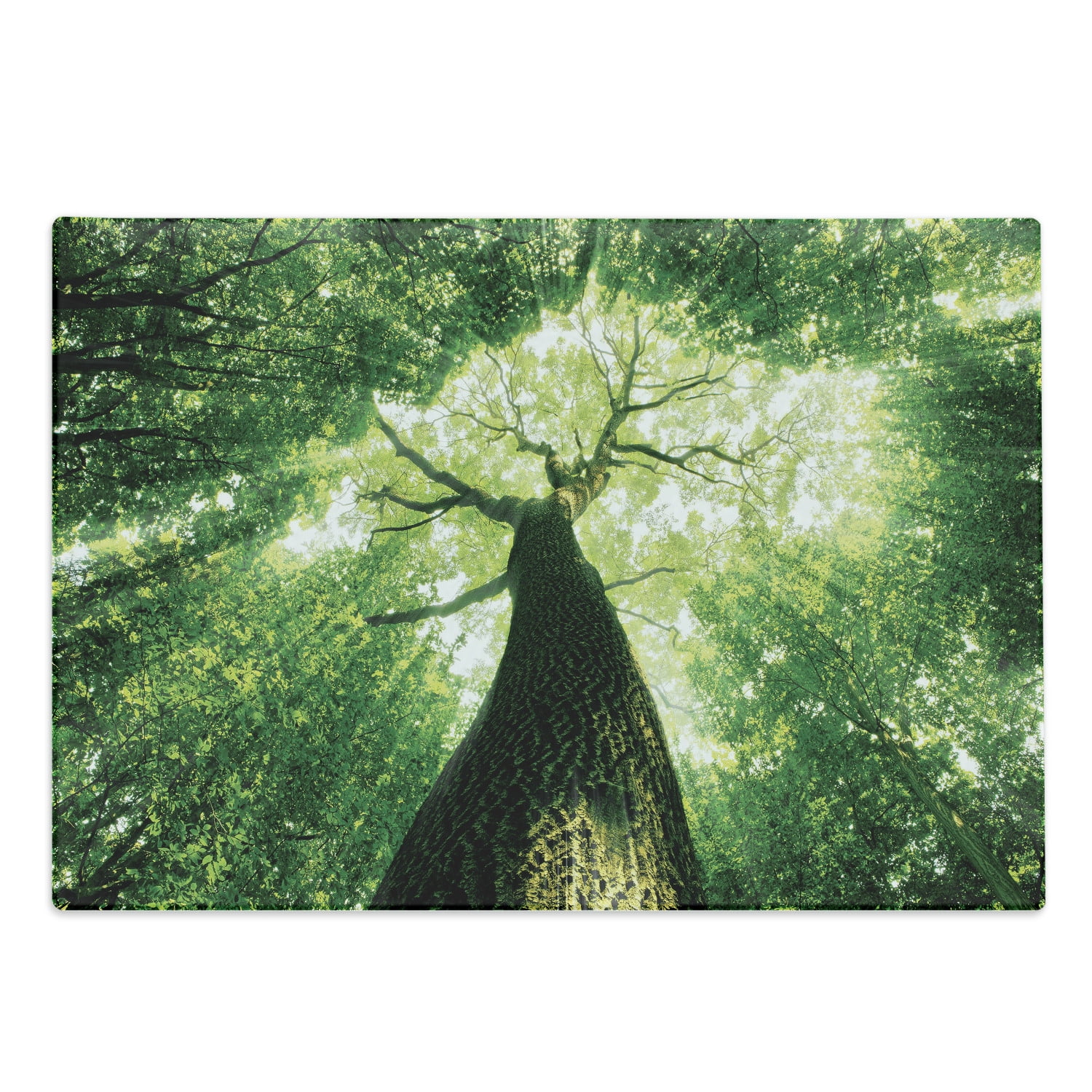 Nature Cutting Board, Sun Rays to Woodland Wild Habitat Summer Rays ...