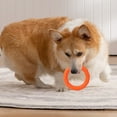 Dog Ring Toy, Indestructible Flying Discs for Throwing Catching Teeth ...