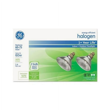 GE Halogen Outdoor Floodlight Bulbs, 60W PAR38, 2-pack, Exterior Flood ...