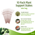 Twigs Ga - Mini Plant Support Begonia Red 10 Pack 12” - Walmart.com