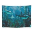 BCIIG 7x5FT Shark Under The Sea World Photography Backdrop for Birthday ...