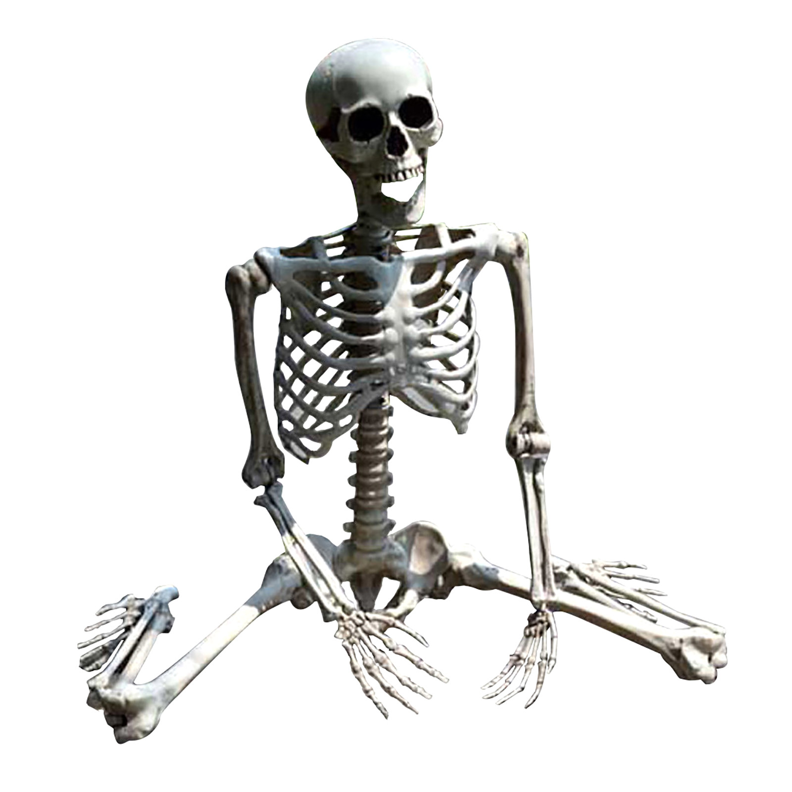 Tuscom Halloween Skeleton Prop Skull Anatomy Model Decor 70 Cm 