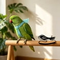 Bird Leash, Pet Parrot Bird Harness and Leash, Escape Proof Outdoor ...