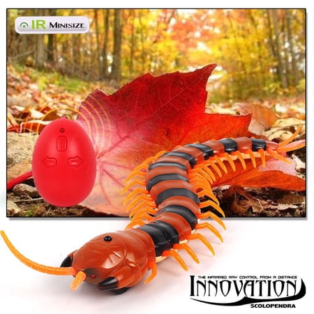 Clairlio Remote Control Centipede Cat Interactive Toys with Egg Toys ...