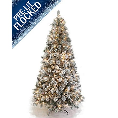 AMERIQUE 691322311426 7 FEET Eight-Function Premium Magnificent ...