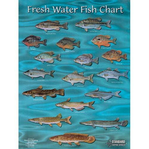 Standard Map FC002 Freshwater Fish Chart - Walmart.com