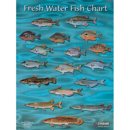 Standard Map FC002 Freshwater Fish Chart - Walmart.com