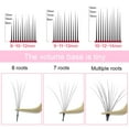 NAGARAKU Easy Fan Mega Volume Eyelash Extensions 0.03 D Curl 10-12-14mm ...