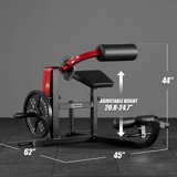 Syedee Home Gym Equipment: Seated AB Curl/Back Extension Machine ...