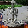 2Pack Halloween Skeleton Prop Deco Halloween Skeleton Life Size Full ...