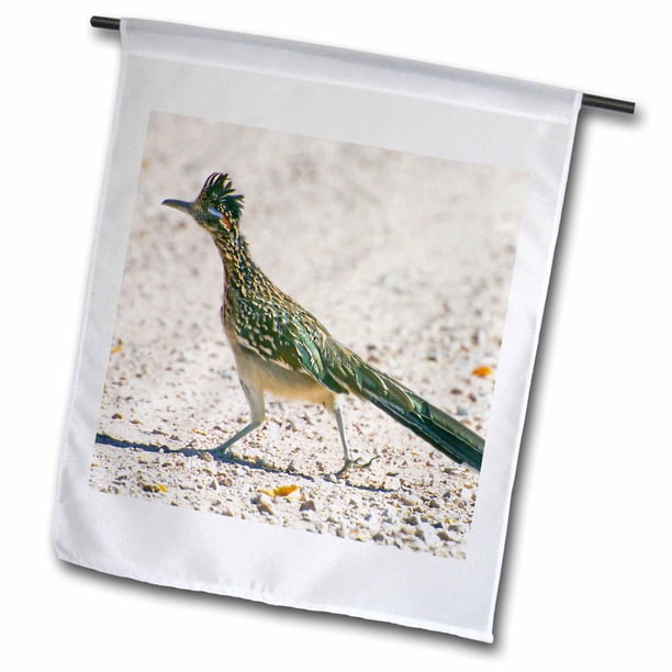 Mexico Flag Bird