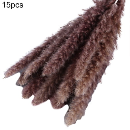 HEVIRGO 15Pcs/Bundle Petite Pampas Herbe Ornementale Bureau Décor Séché ...