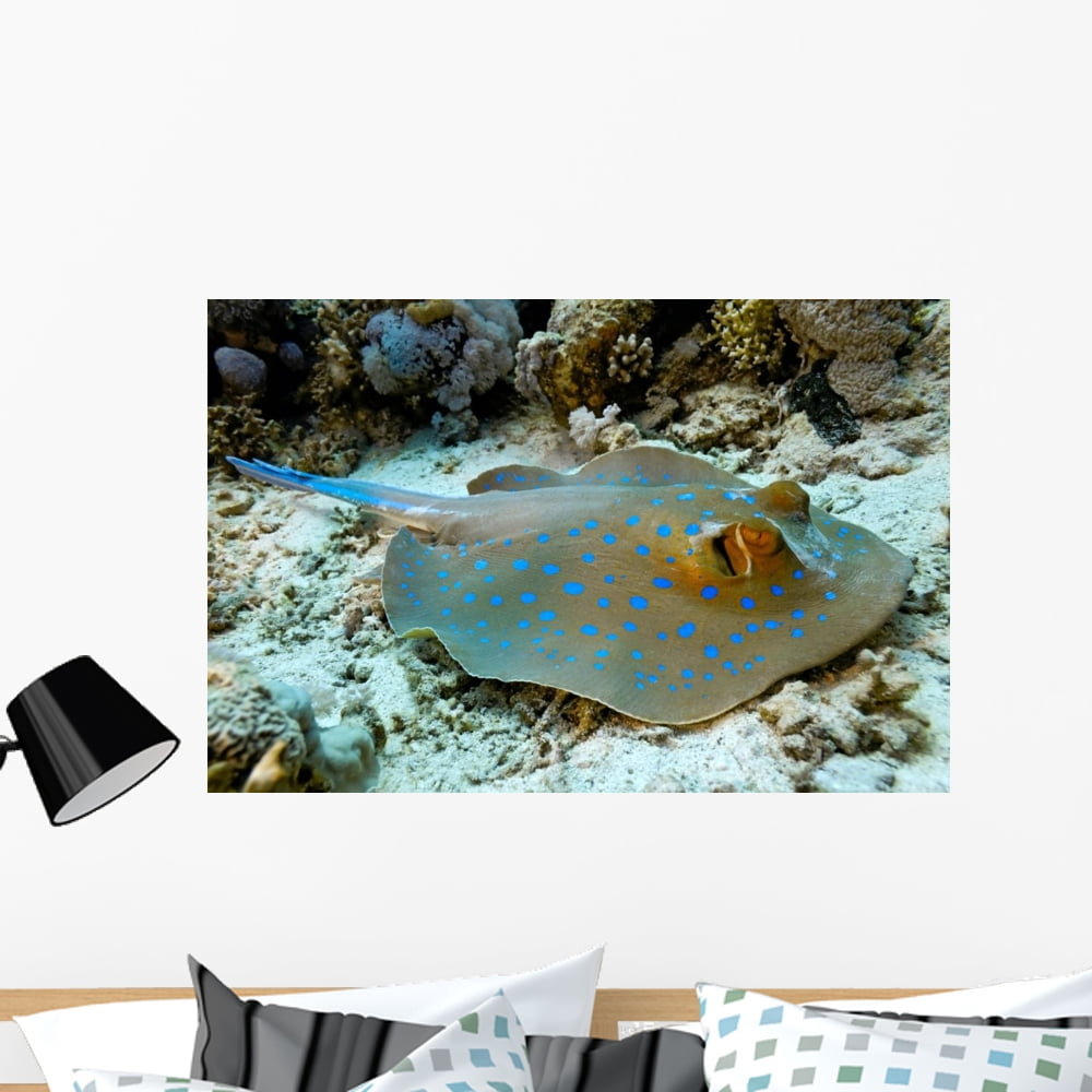 Bluespotted Stingray Wall Decal by Wallmonkeys Peel and Stick Graphic ...