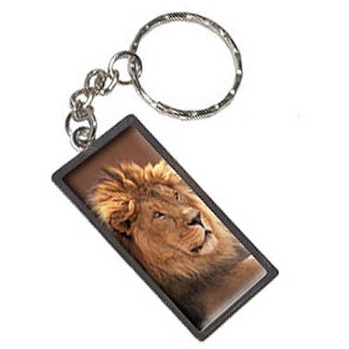 Male Lion Keychain Key Chain Ring - Walmart.com