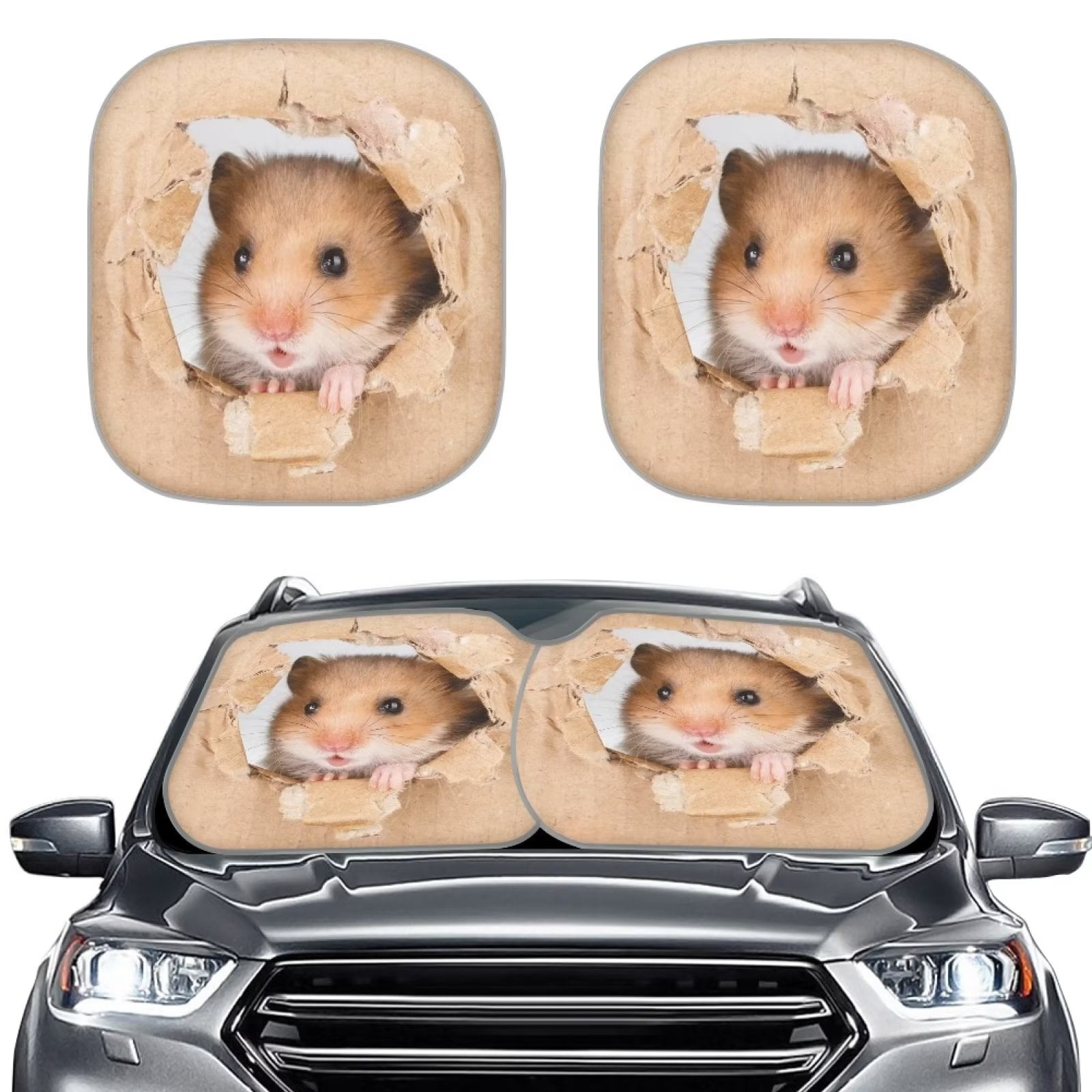 Hamsters In Cars